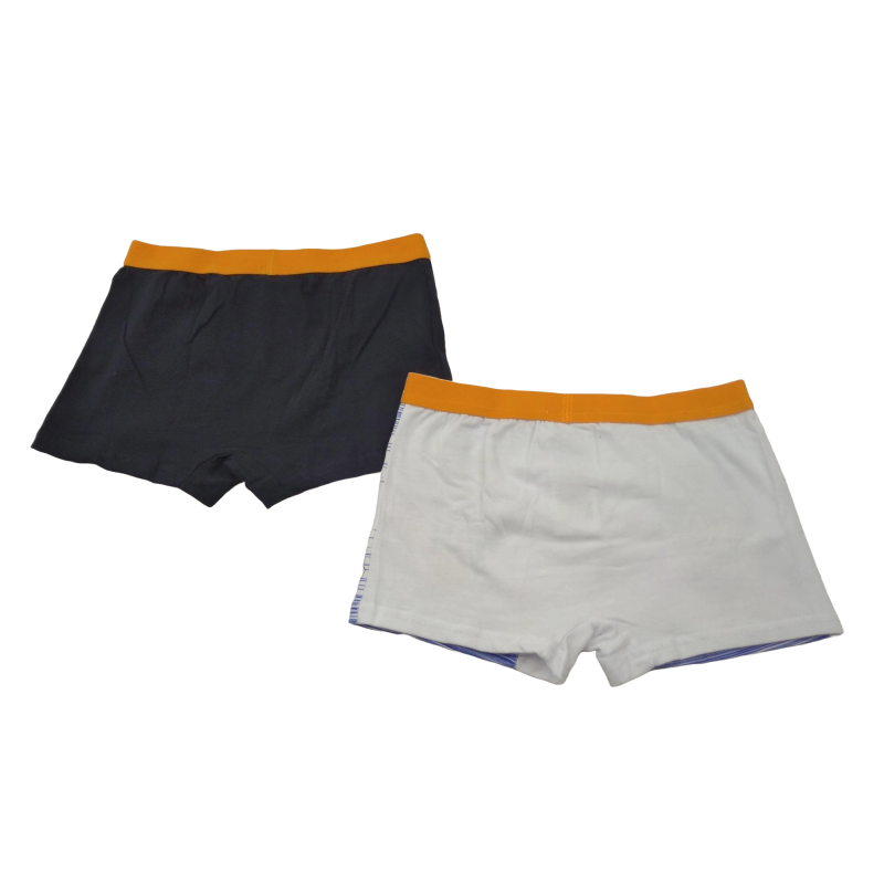 Boxers Goku Vegeta Dragon Ball Z