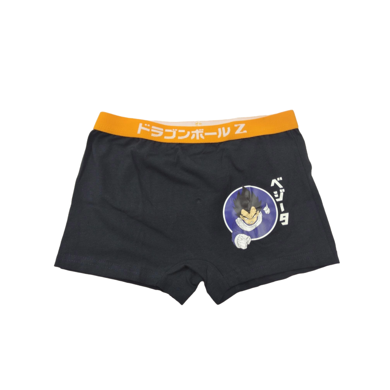 Boxers Goku Vegeta Dragon Ball Z